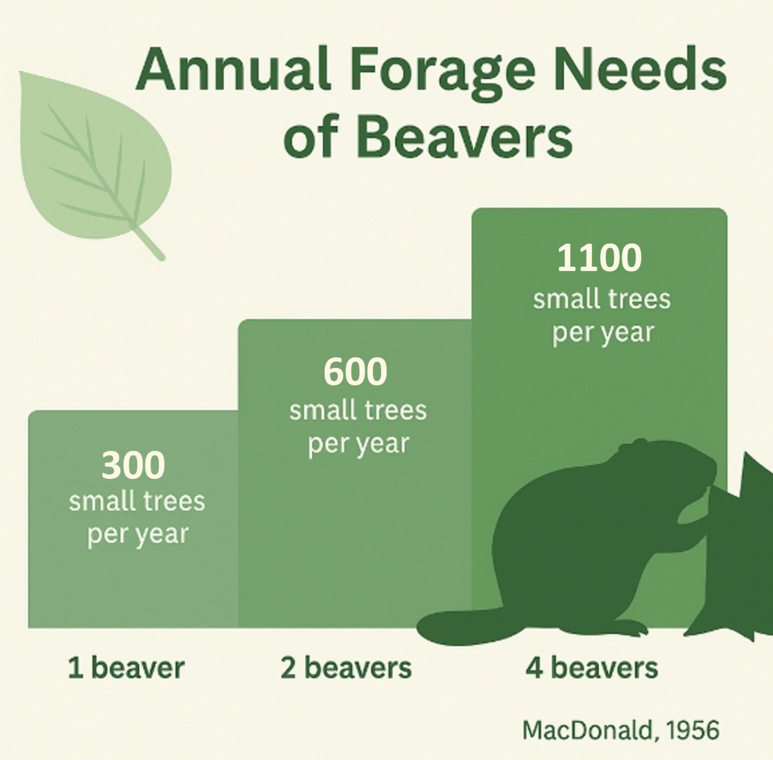 WHAT BEAVERS EAT – Western Beavers Cooperative